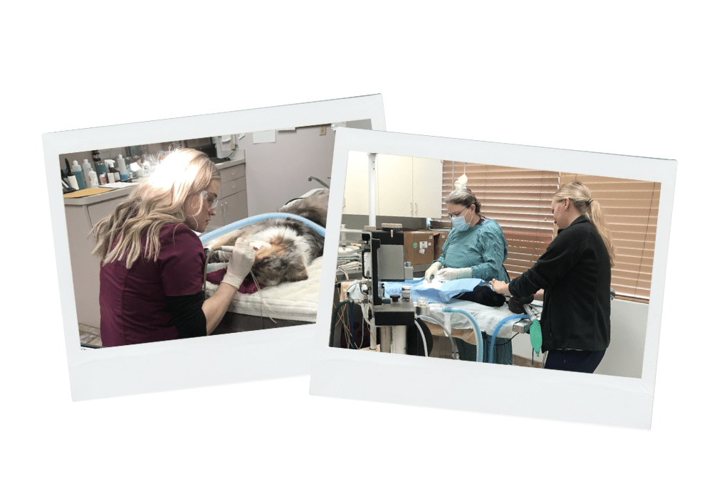 About GAH And WRVC | Vets In Grantsburg, WI 54840